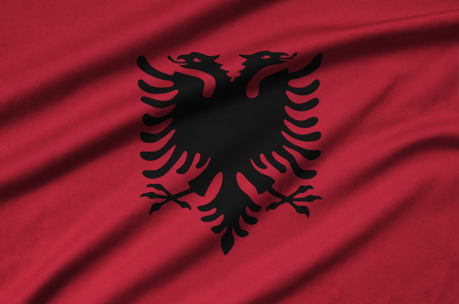 Albanian Independence Day: A Celebration of Freedom and Unity - Rks News