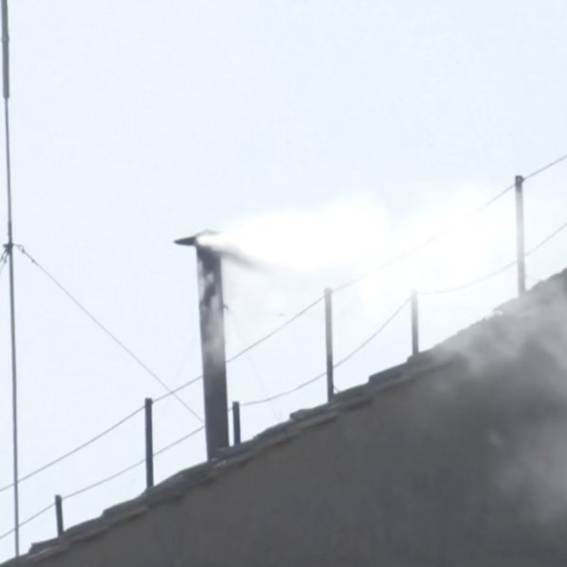 A New Pope Officially Elected as White Smoke Rises from the Sistine ...