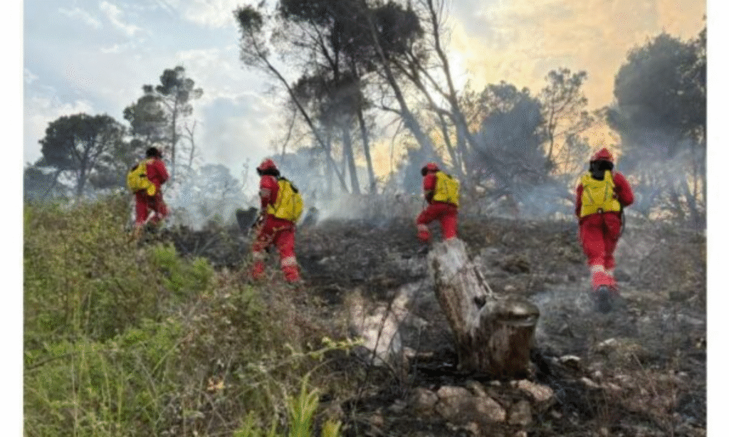 Wildfires Sweep Southern Albania – Residents Evacuated as Flames Near ...