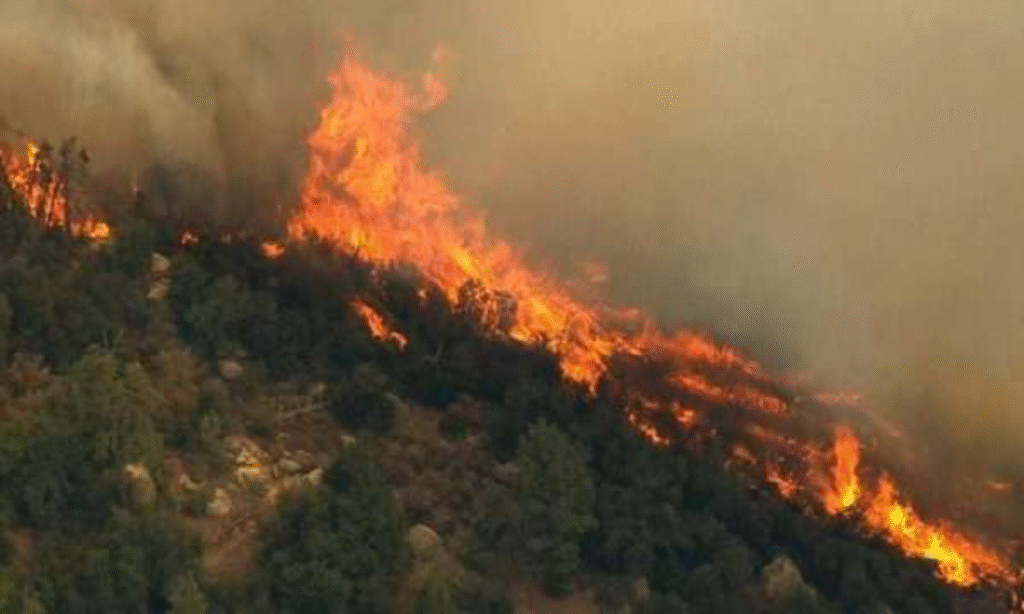 Kosovo Wildfires Draw International Attention Amid Regional Emergency ...