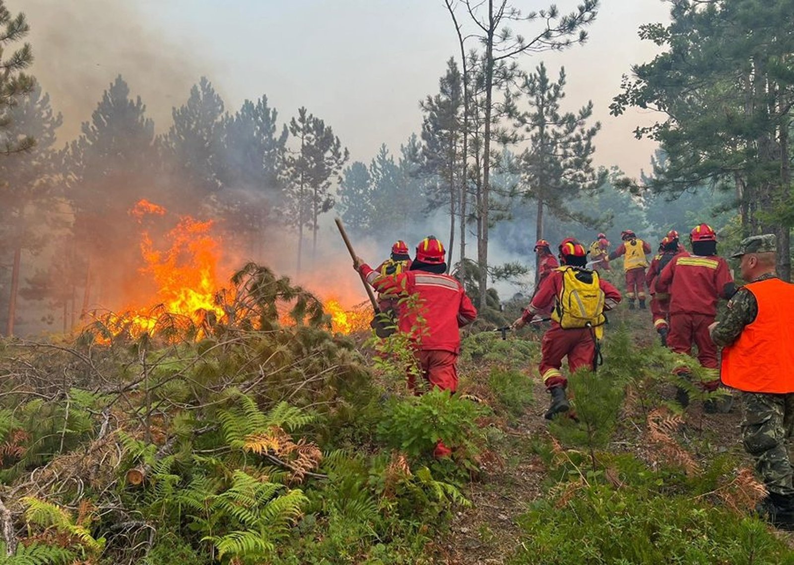 23 Active Wildfire Outbreaks in Albania – Planes and Helicopters ...