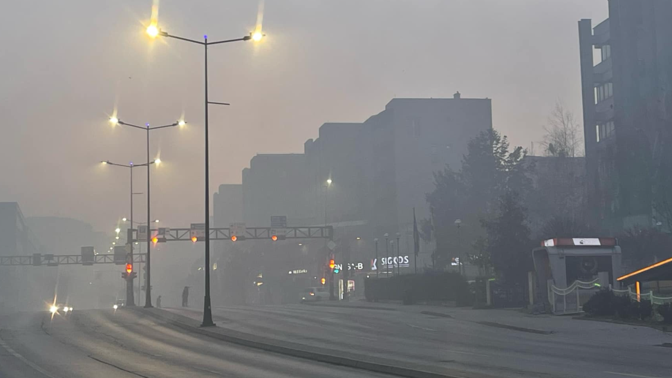 Experts Call for Urgent Action: Air Pollution Is Making Children and ...